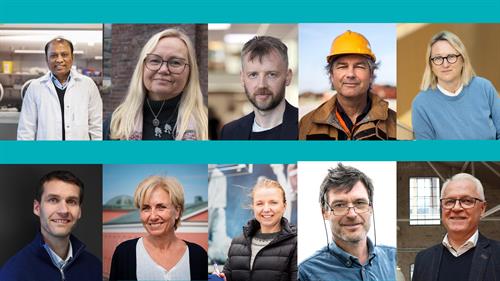 HVL - Høgskulen på Vestlandet