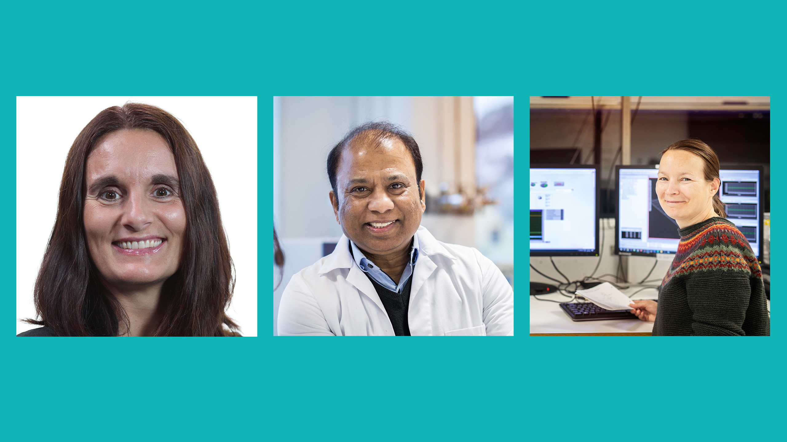 Styrkar det internasjonale samarbeidet - Høgskulen på Vestlandet