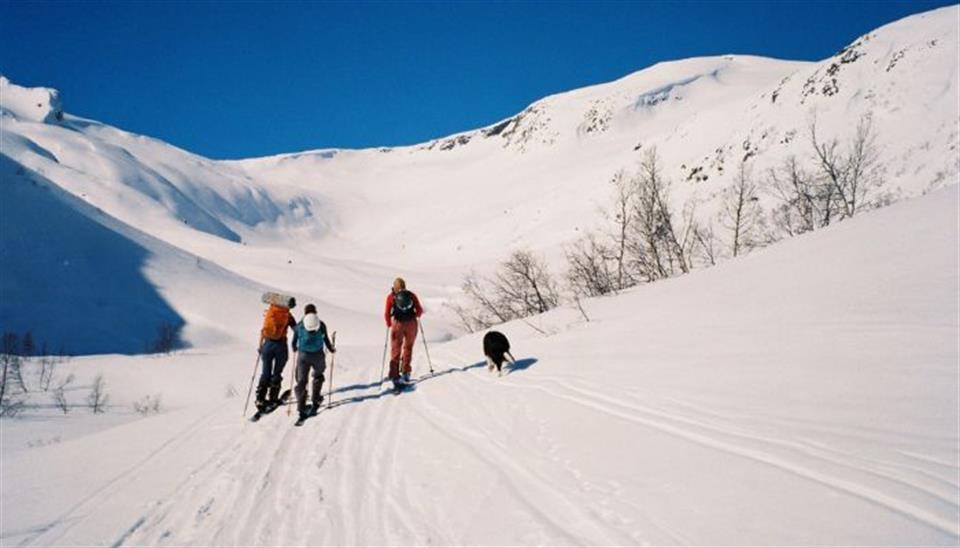 Kan studere fjell og stå på ski samtidig - Høgskulen på Vestlandet