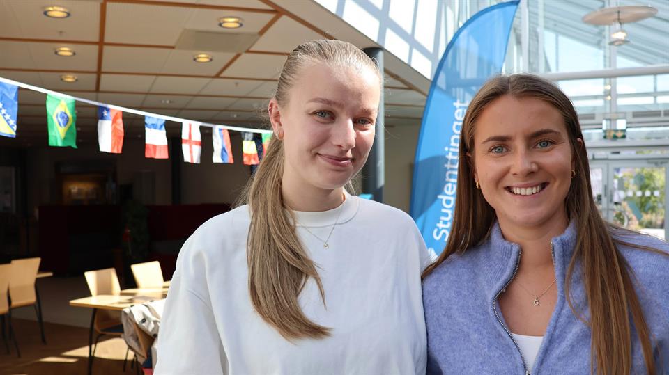 Suksess for internasjonal dag ved HVL - Høgskulen på Vestlandet