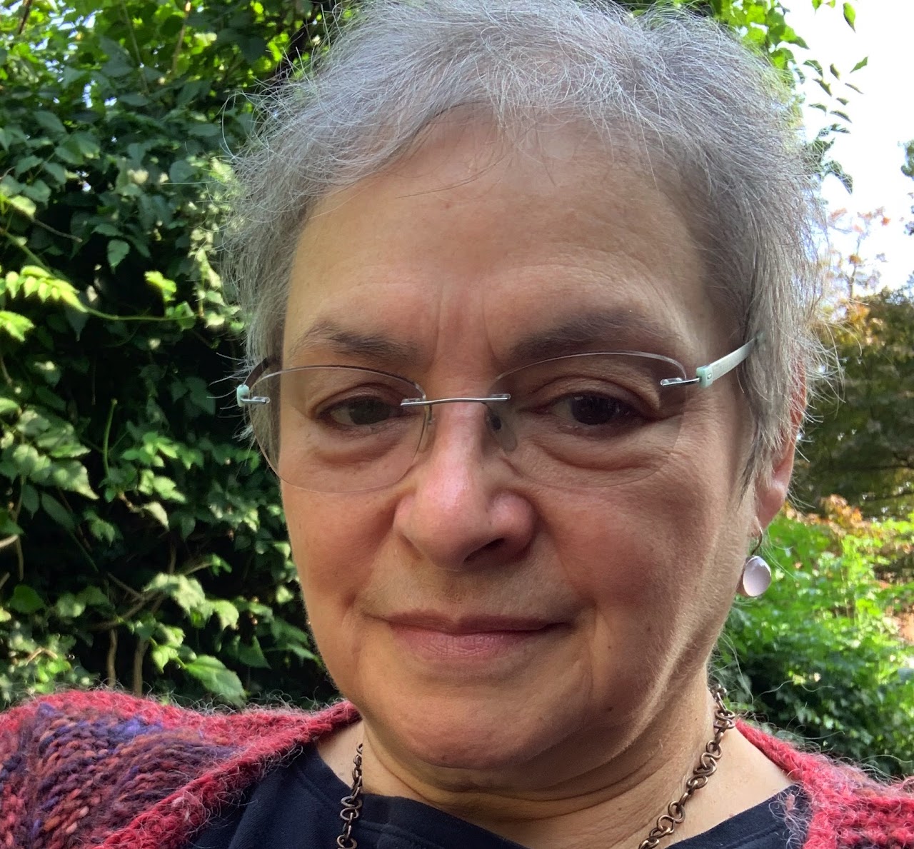 Møt forskerne - Høgskulen på Vestlandet